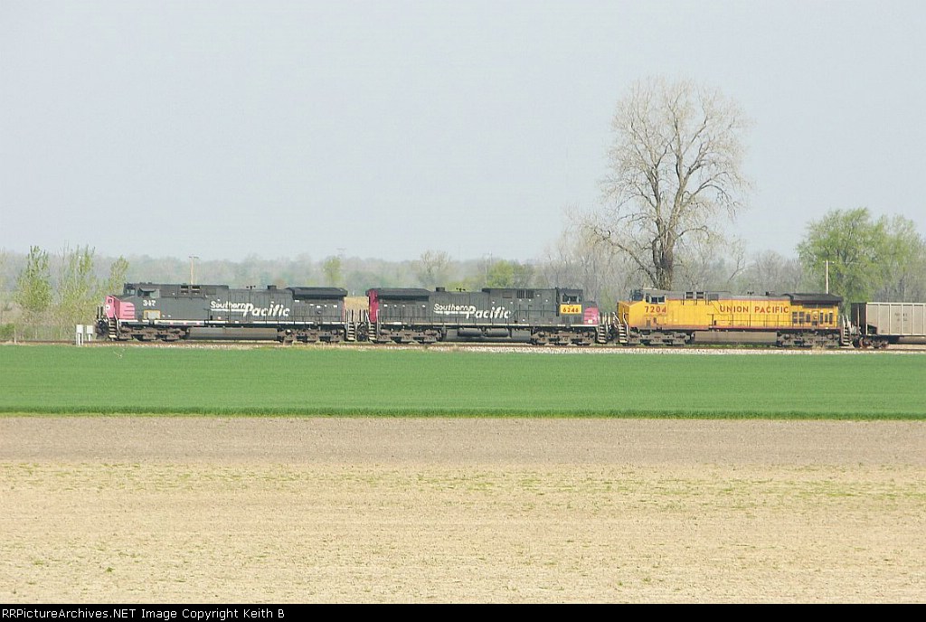 SP 347 and UP 6246 and 7204